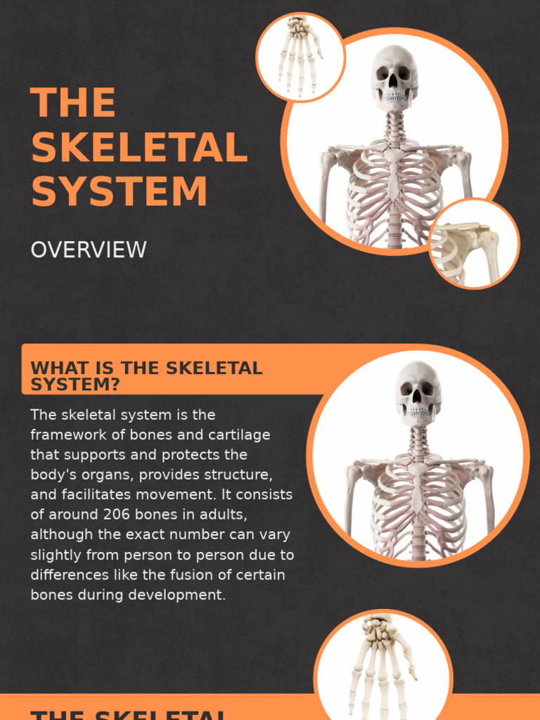 The Skeletal System Educational Presentations in Black White in Simple ...