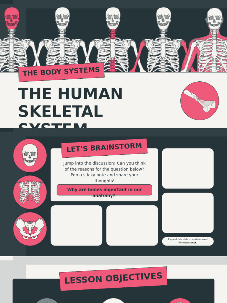 The Human Skeletal System Science Educational Presentation in Dark Gray ...