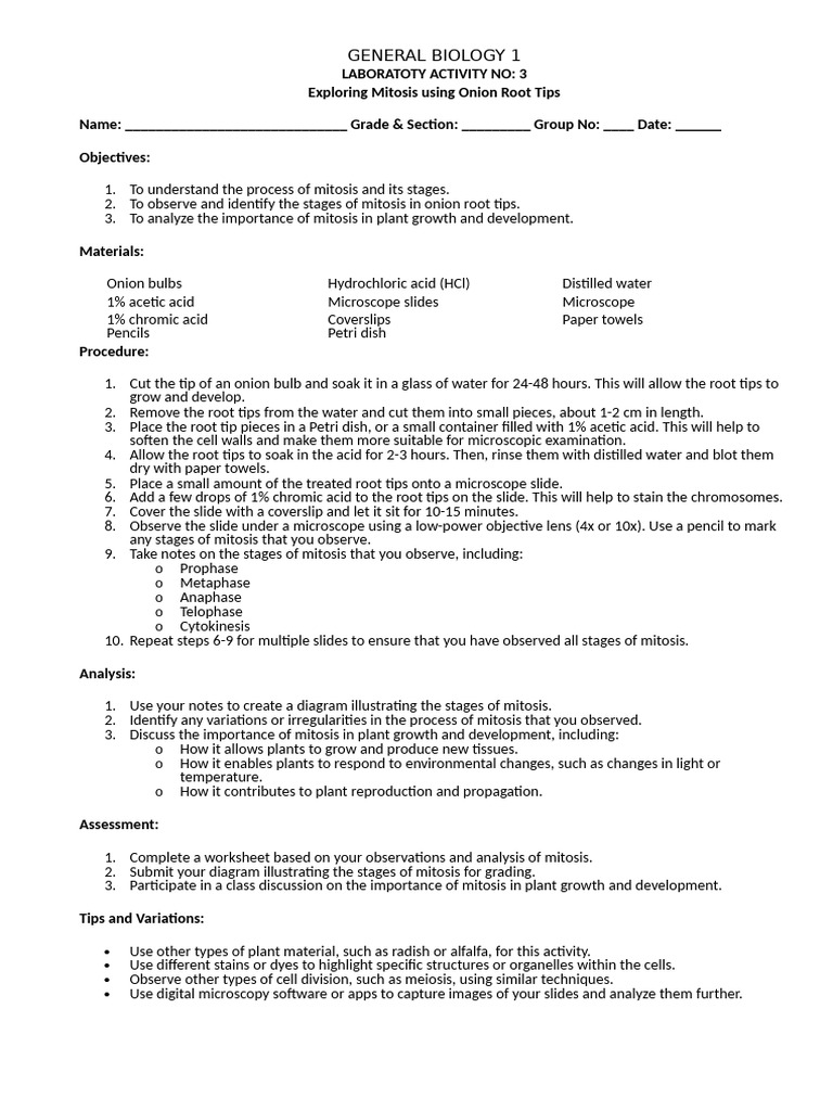ACTIVITY-NO-3-mitosis | PDF