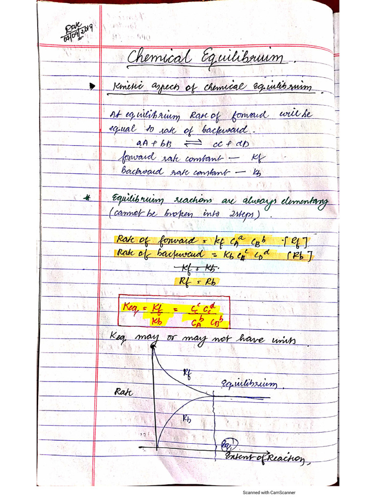 BBL Sir Chemical Equilibria Notes | PDF