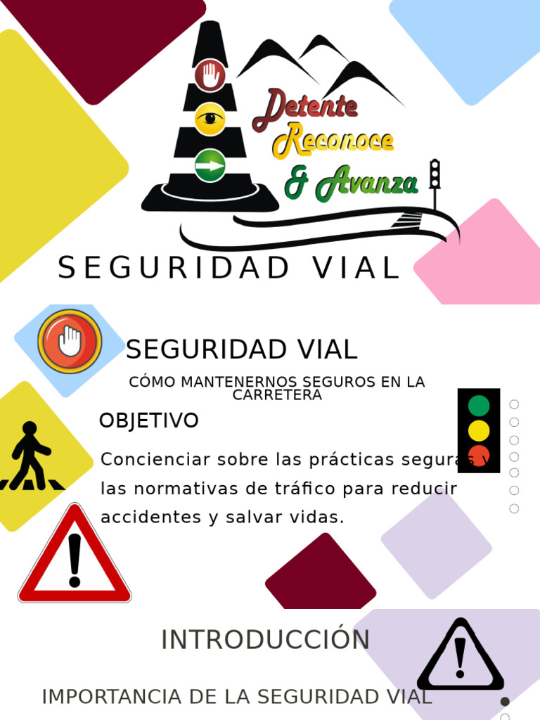 Seguridad Vial | PDF