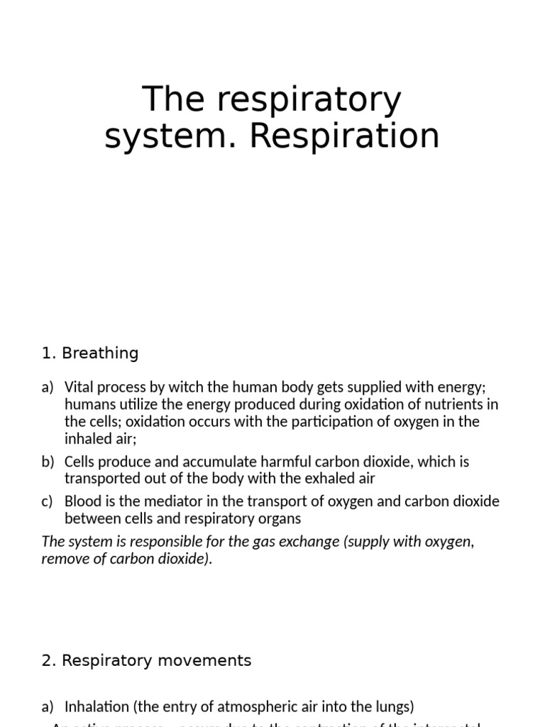 The Respiratory System. Respiration | PDF