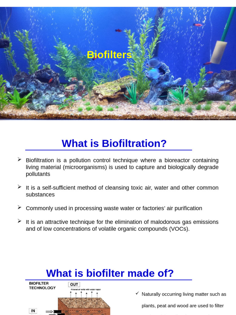 Biology For Engineers - Biofilters | PDF | Chemistry | Natural Environment