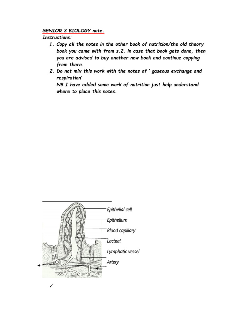 s.3 Biology Work | PDF