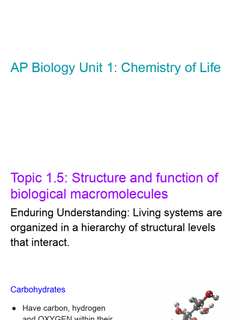 Unit 1 Chapter 5 part 3 supplemental slides | PDF