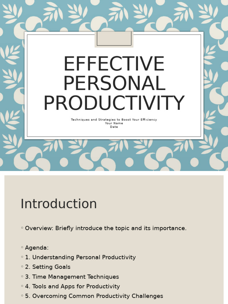 Effective_Personal_Productivity_Presentation mid year | PDF