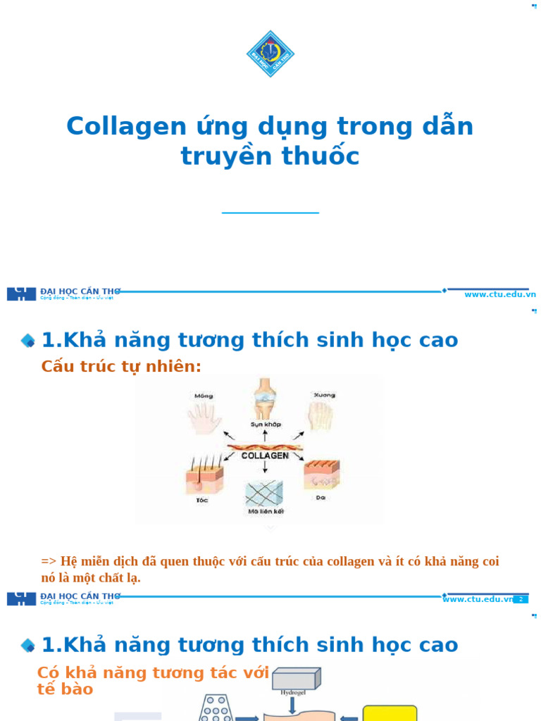 Collagen in Drug Delivery Applications | PDF | Structural Biology ...