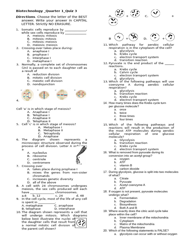 Quiz 3 - Biotechnology | PDF