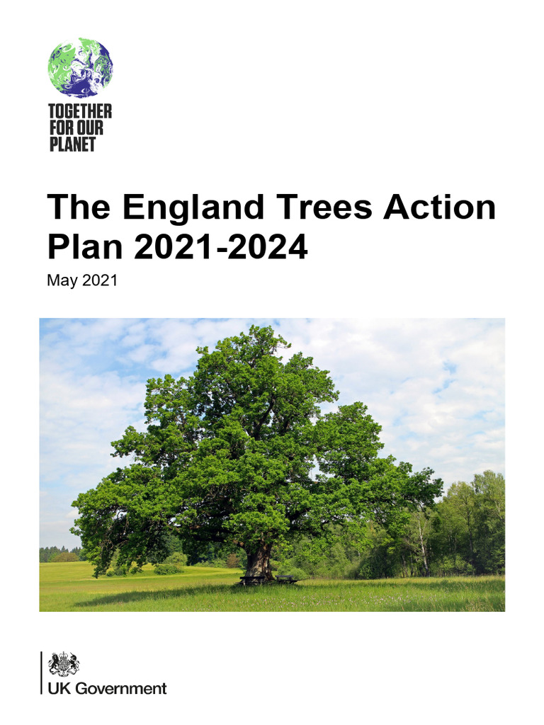 England Trees Action Plan | PDF | Forestry | Science & Mathematics