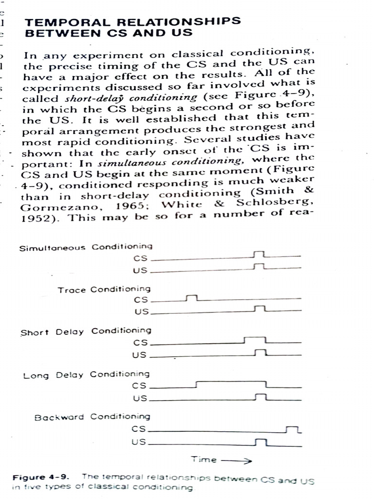 Temporal Relationship | PDF