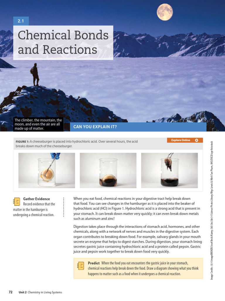 Unit 2 Lesson 1 Chemical Bonds and Reactions | PDF