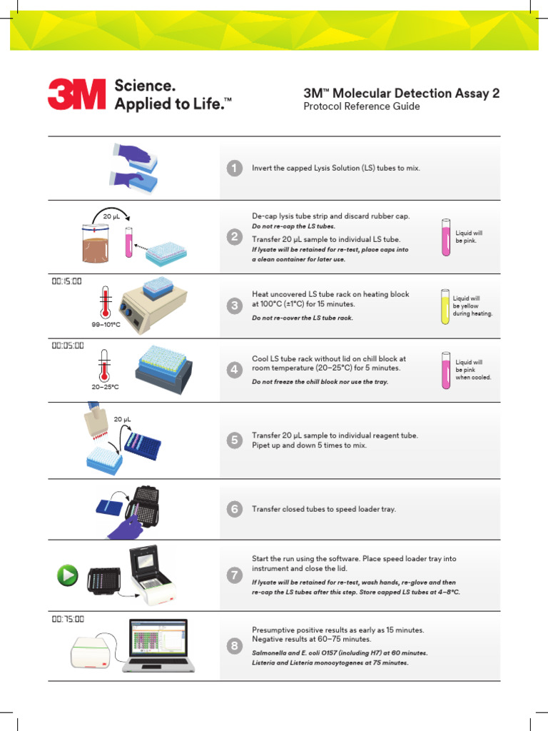 3M Molecular Detection Assay 2 Protocol Reference Guide | PDF