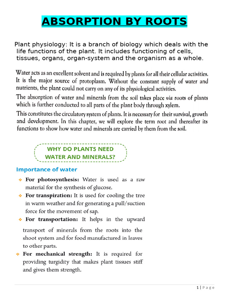 Absorption by Roots Notes 1 | PDF