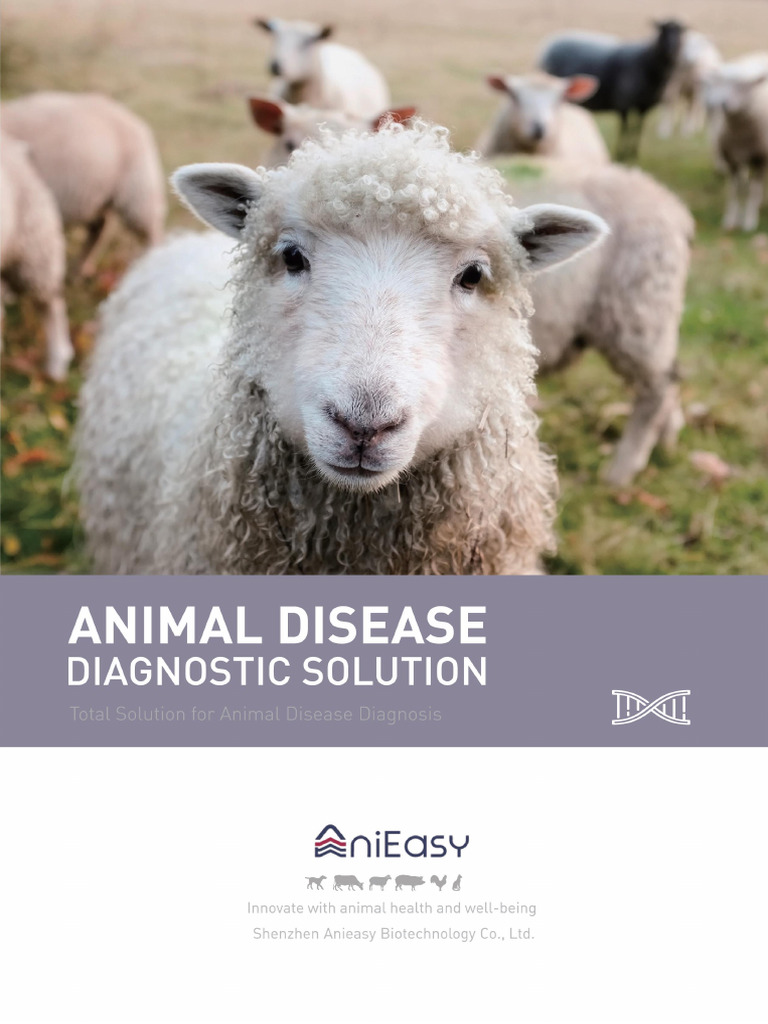 Bioeasy Animal Disease Test | PDF