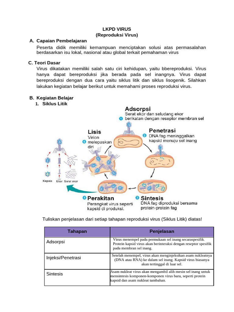 LKPD VIRUS Siklus Litik Dan Lisogenik | PDF