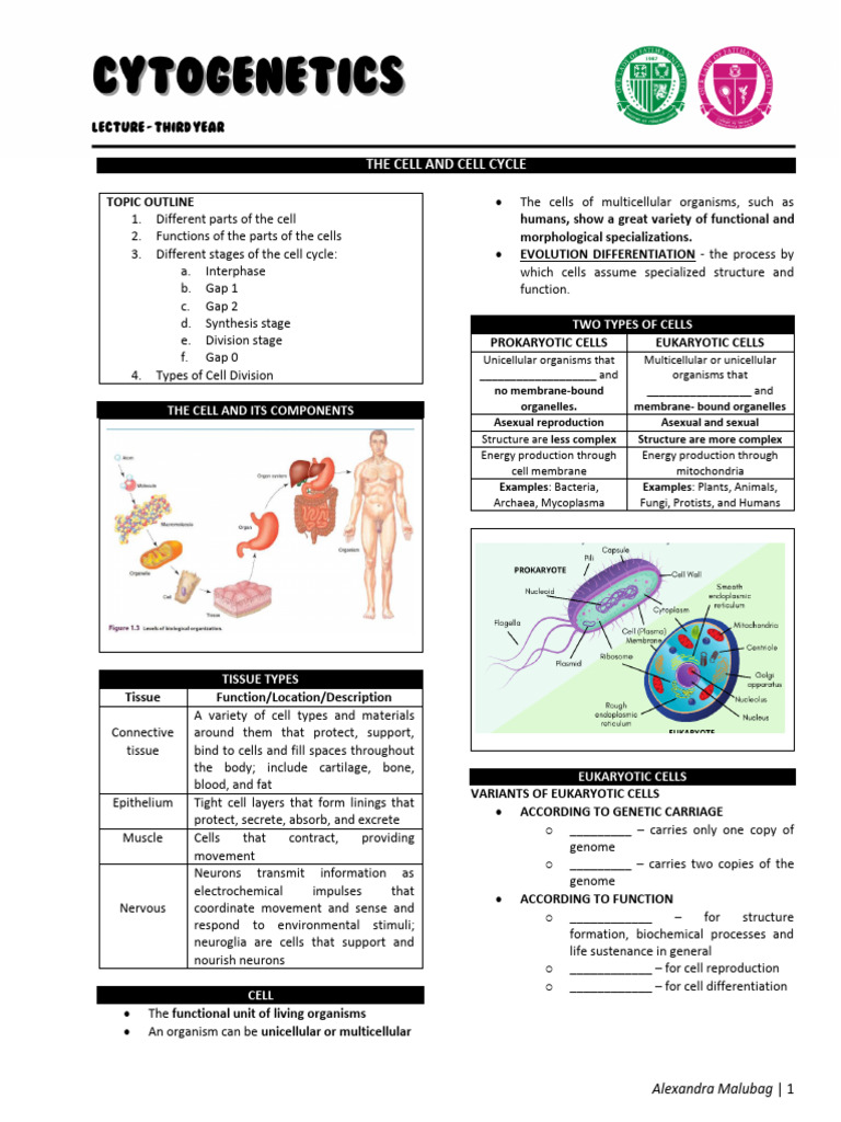 CYTO THE CELL AND CELL CYCLE Edit | PDF