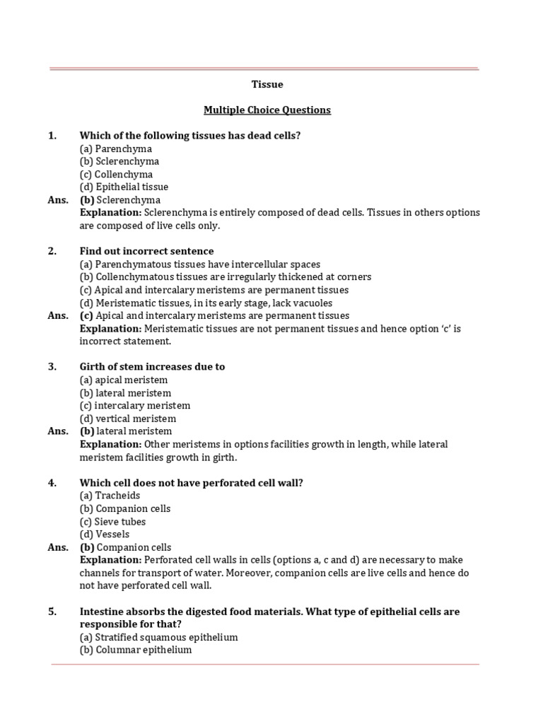 CH 6 | PDF