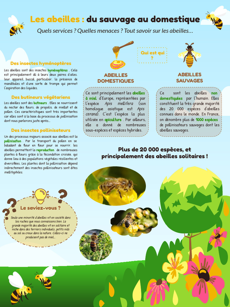 Disparition des abeilles : enjeux et impacts | PDF | Abeilles | Maison ...
