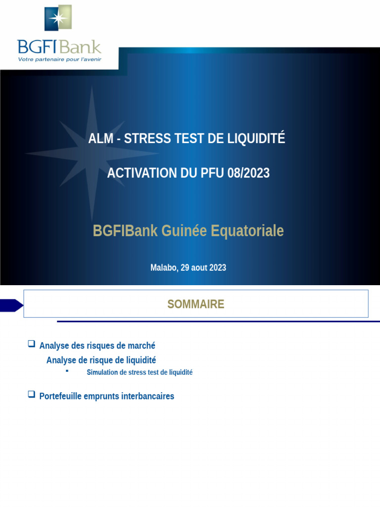 ALM BGFIBank GE, STRESS TEST ACTIVATION PFU 08.2023 | PDF