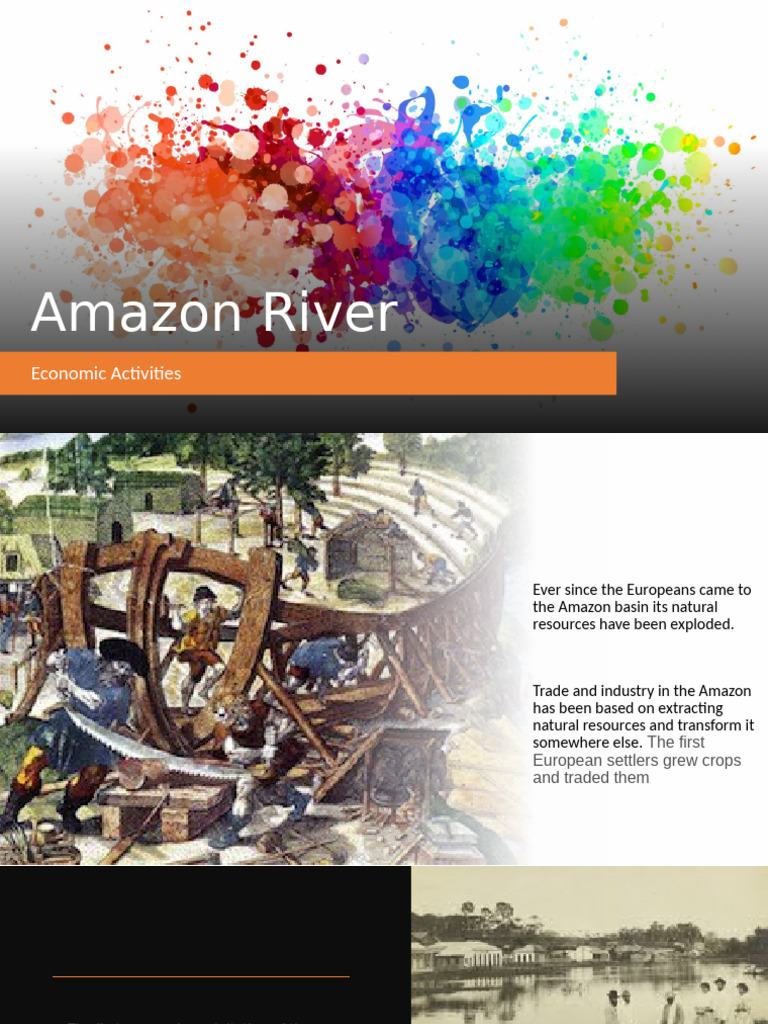 Amazon River: Economic Activities | PDF
