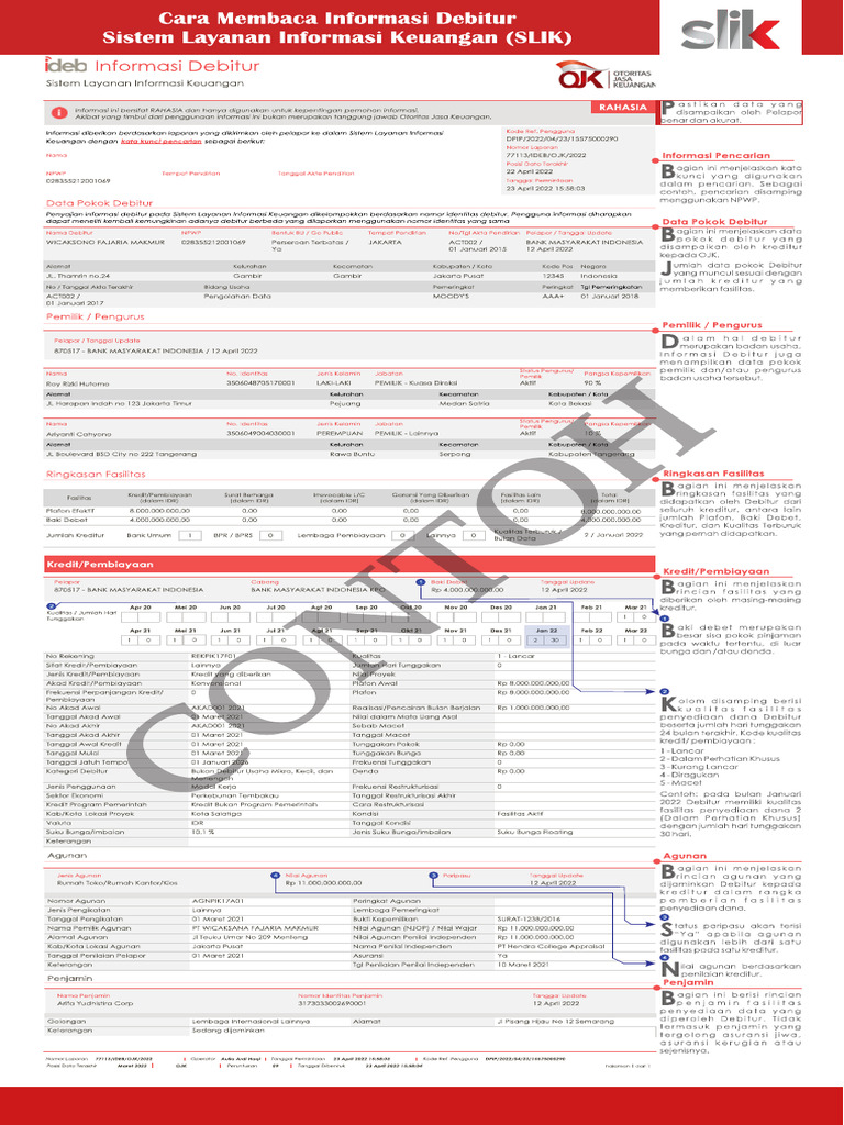 Tata Cara Membaca Informasi Debitur SLIK | PDF