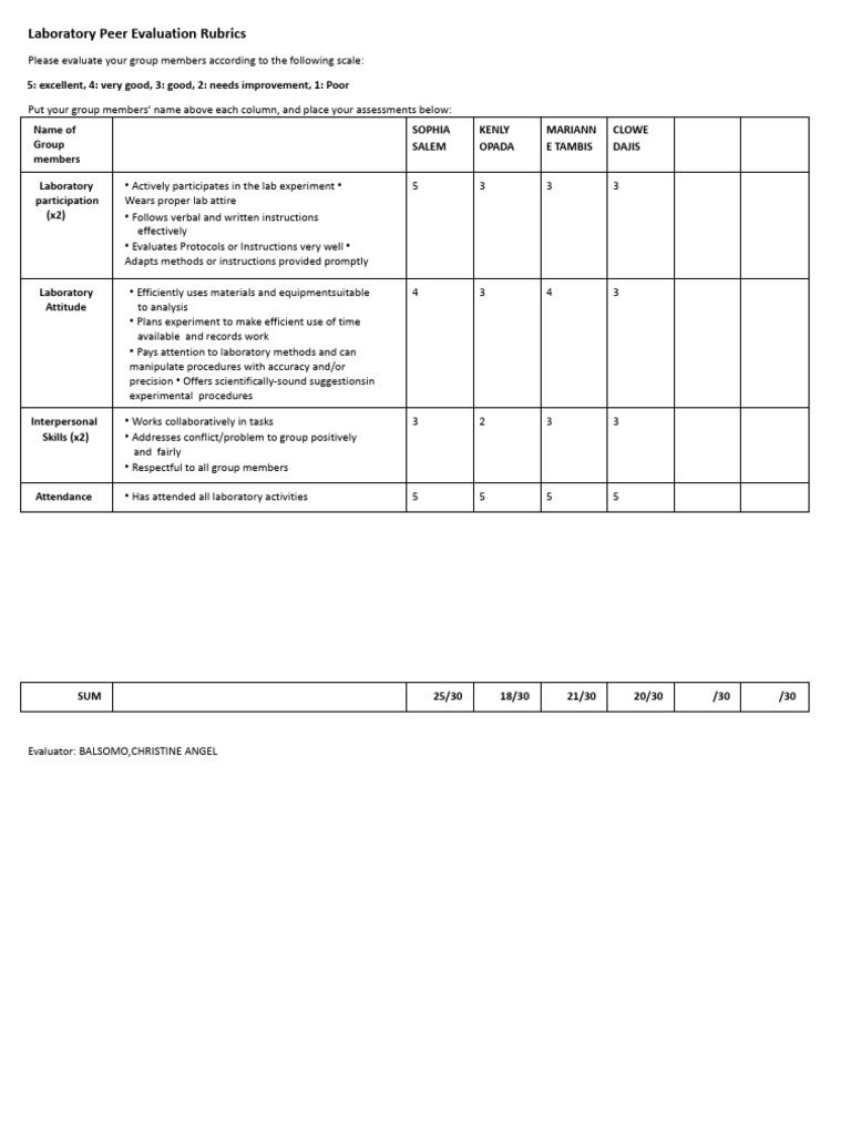 Laboratory Peer Evaluation Rubric Guide | PDF | Career & Growth