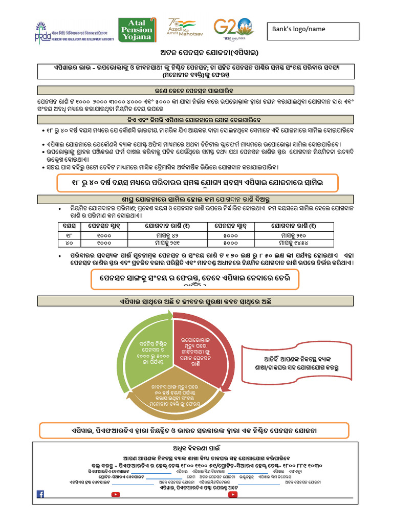 APY Flyer Odia | PDF