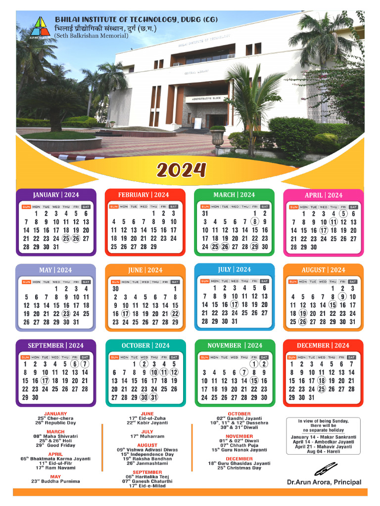 BIT Durg Calendar 2024 | PDF
