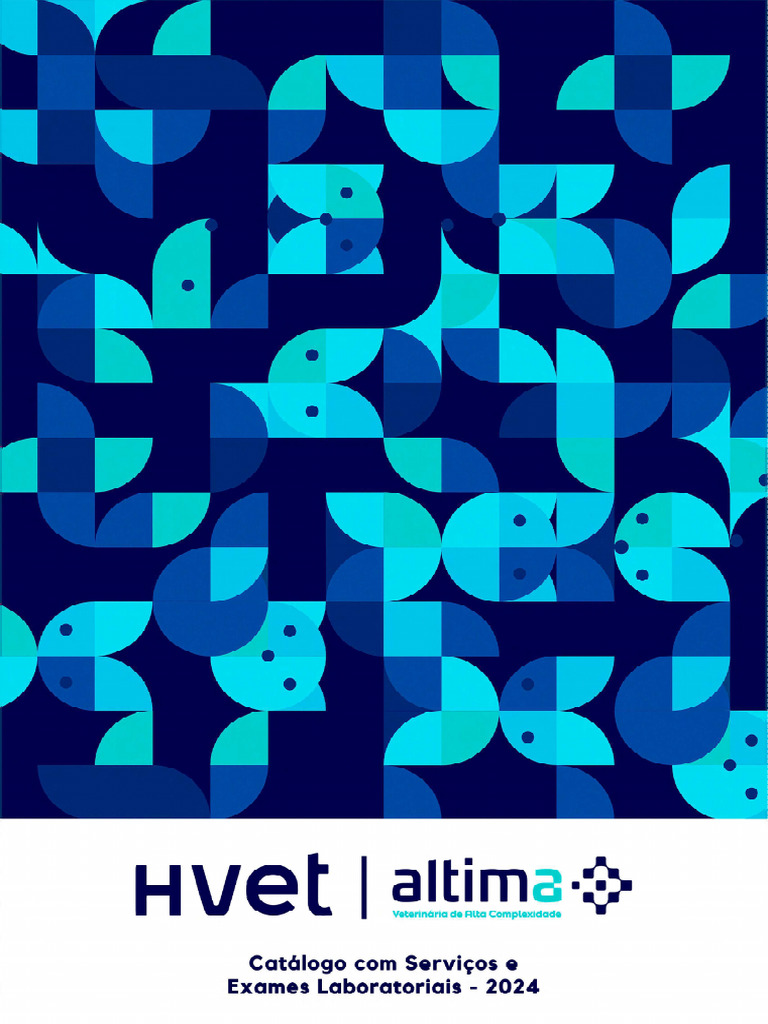 Porfólio HVET 2024 (Editado) | PDF