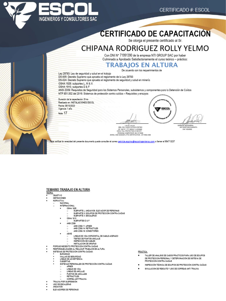 6.2 Trabajos en Altura - Chipana Rolly | PDF