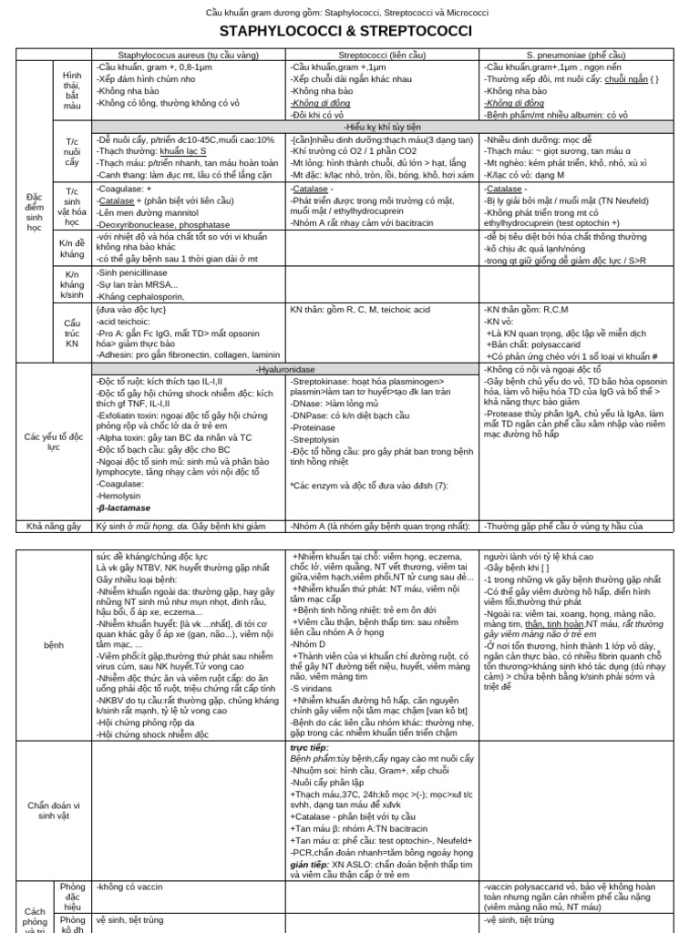 Tổng hợp vi khuẩn UMP-VNU | PDF