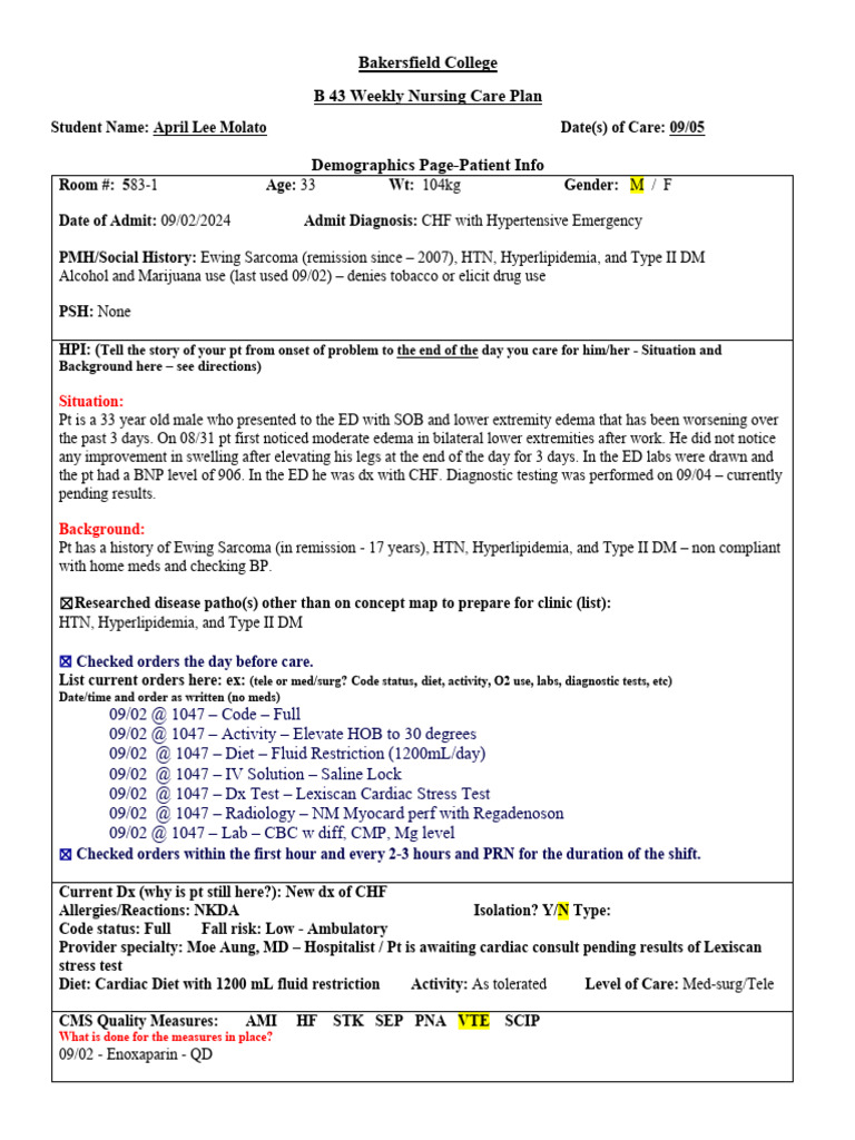 Bakersfield College B 43 Weekly Nursing Care Plan: Situation | PDF