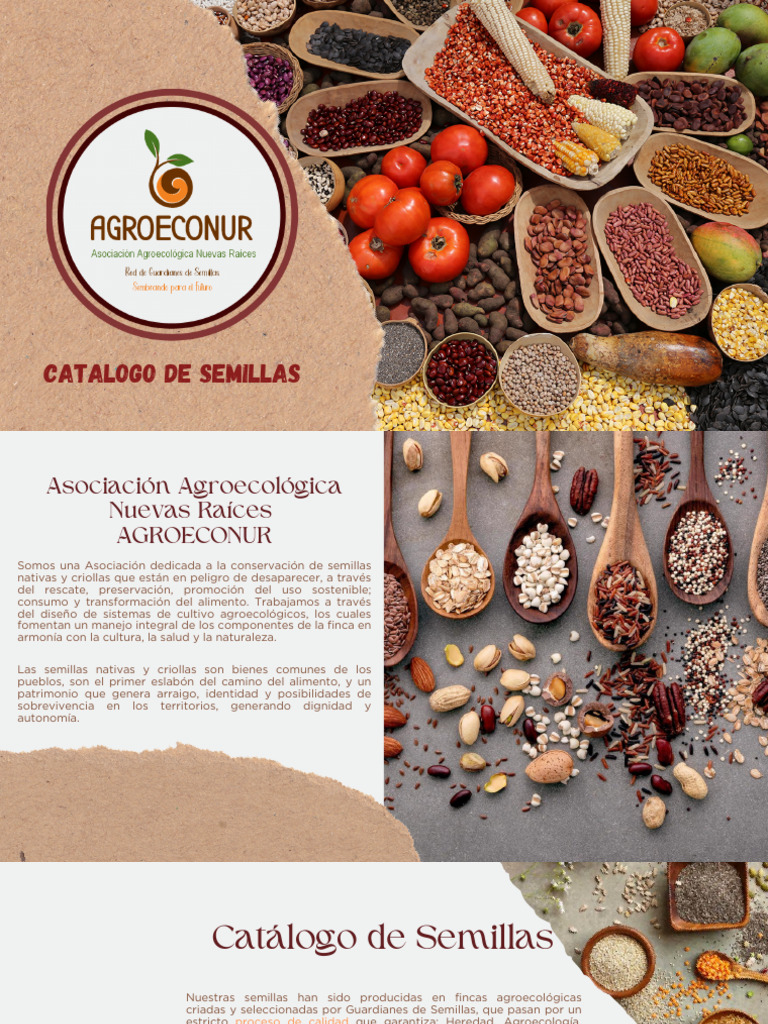 Catalógo Semillas AGROECONUR | PDF