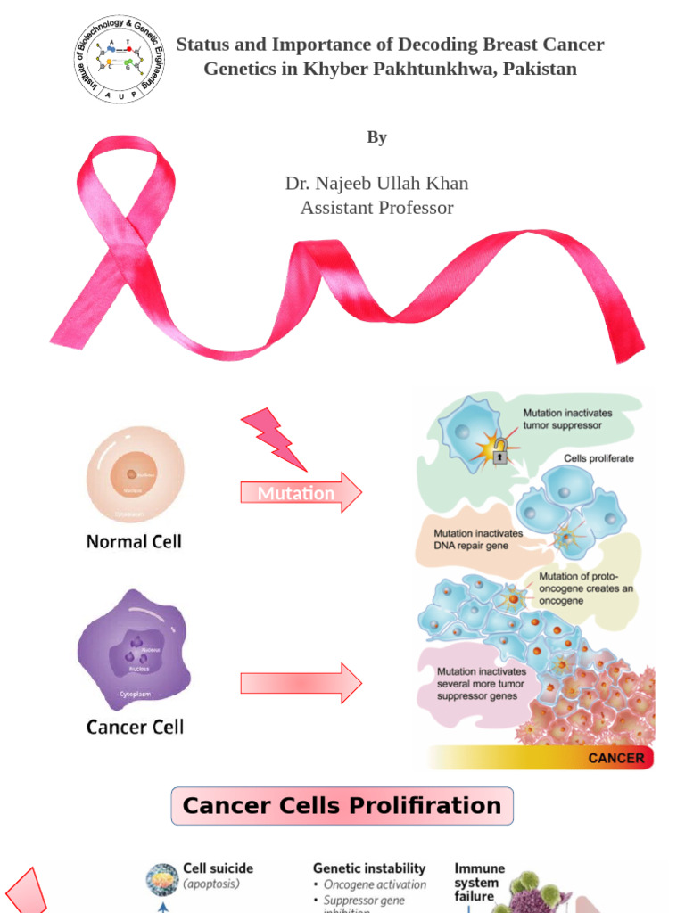 Breast Cancer Genetics in KP, DR. Najeeb | PDF | Cancer | Causes Of Death
