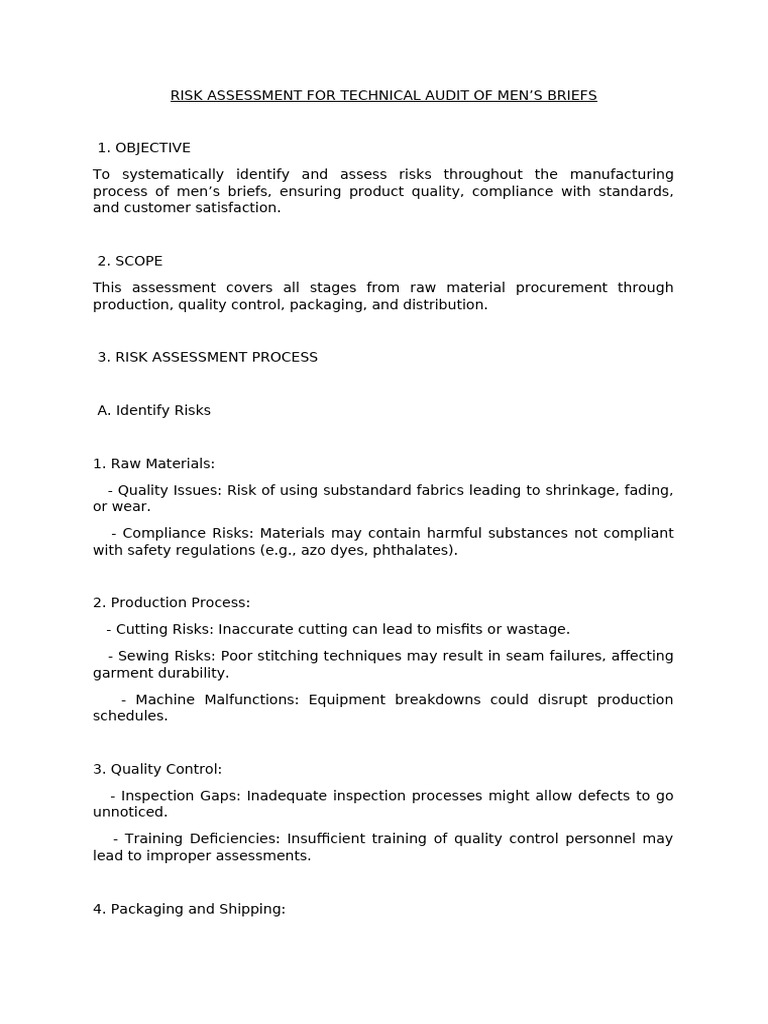 Risk Assessment For Technical Audit of Men Brief | PDF