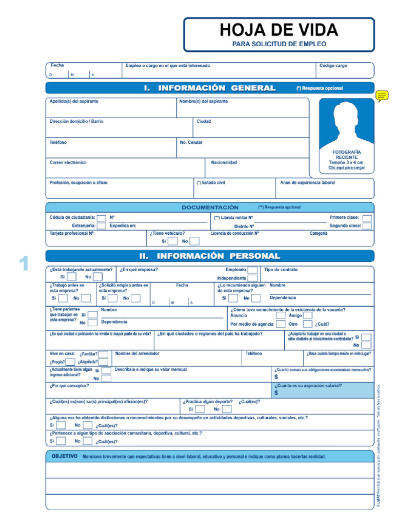 Formato Hoja de Vida Minerva 1003 PDF y WORD Editable | PDF