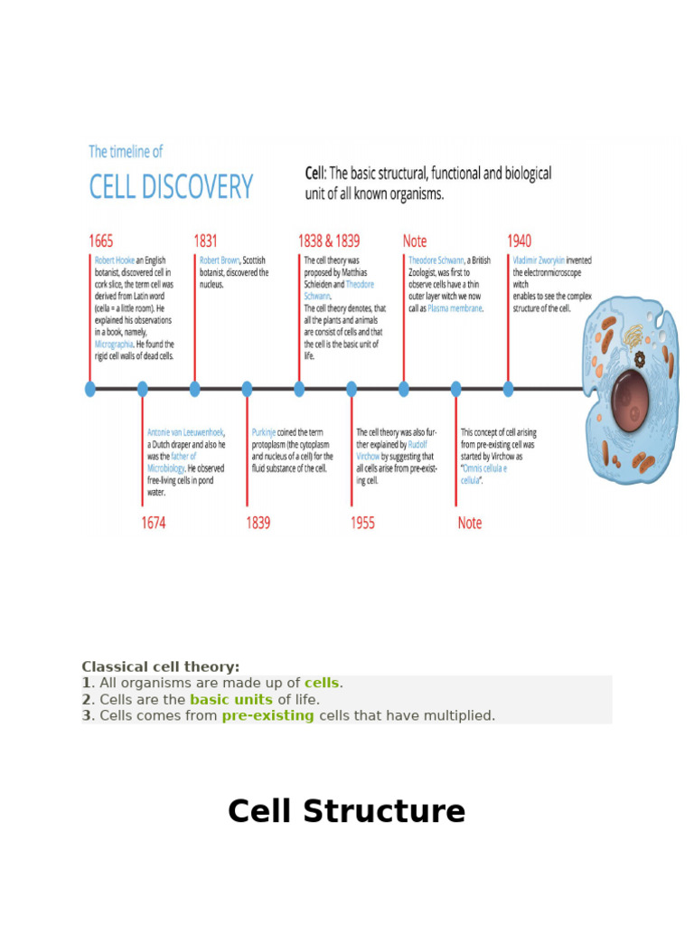 Cell Structure Chapter 1 As Online | PDF