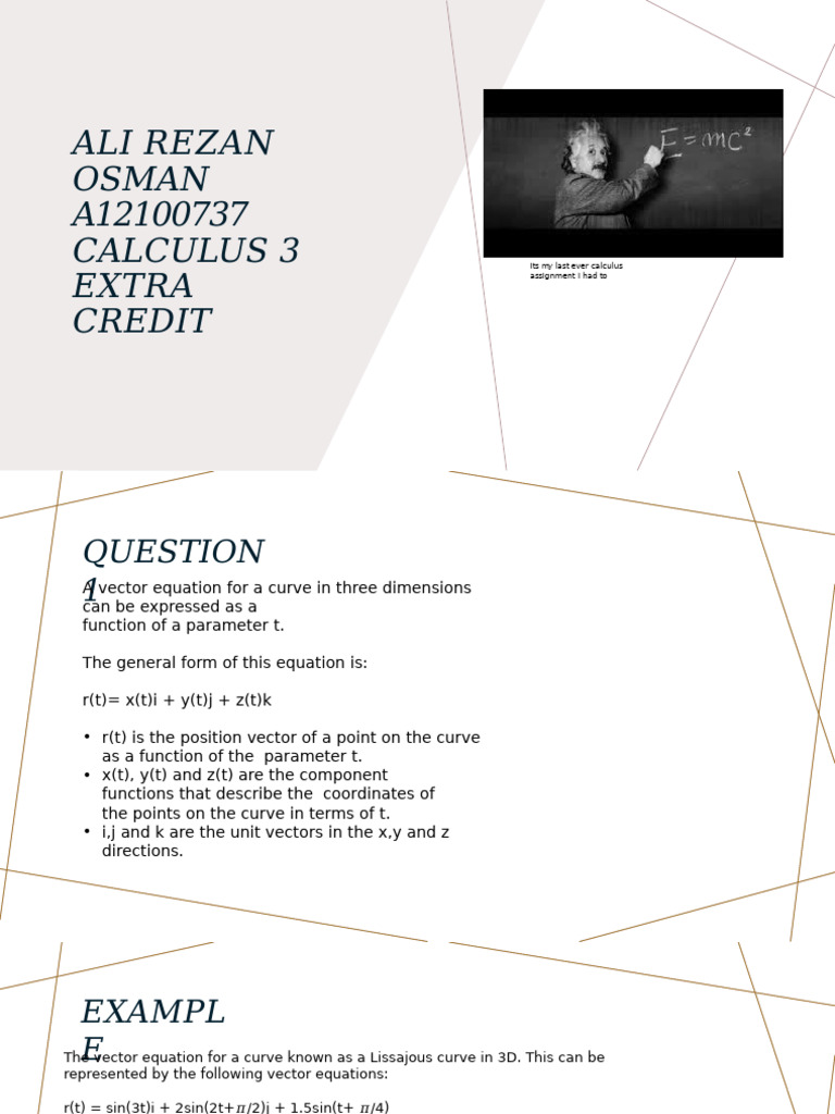 Ali Rezan Osman Extra Credit | PDF