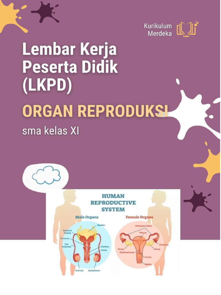LKPD - Struktur Dan Fungsi Organ Reproduksi. | PDF
