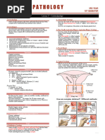 Endometrial Pipelle Biopsy Procedure Guide | PDF