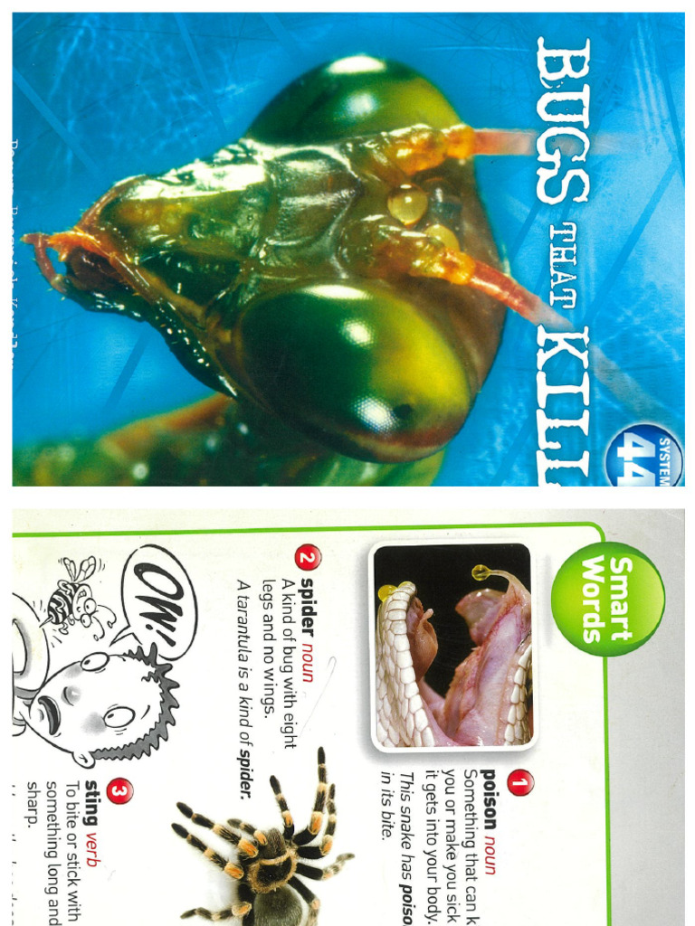Bugs That Kill PDF | PDF