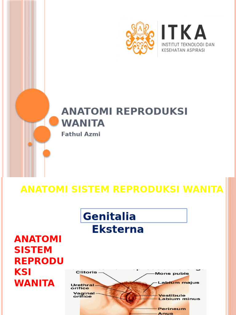 Anatomi Reproduksi Wanita | PDF