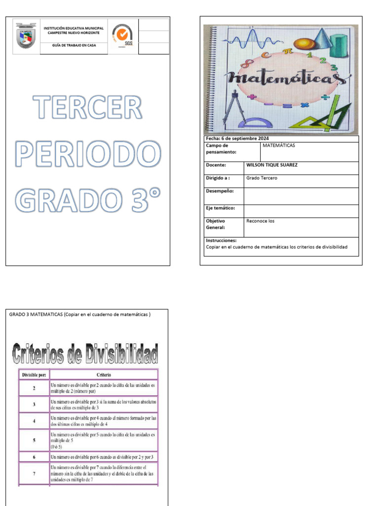 Grado 3° Iii Periodo | PDF