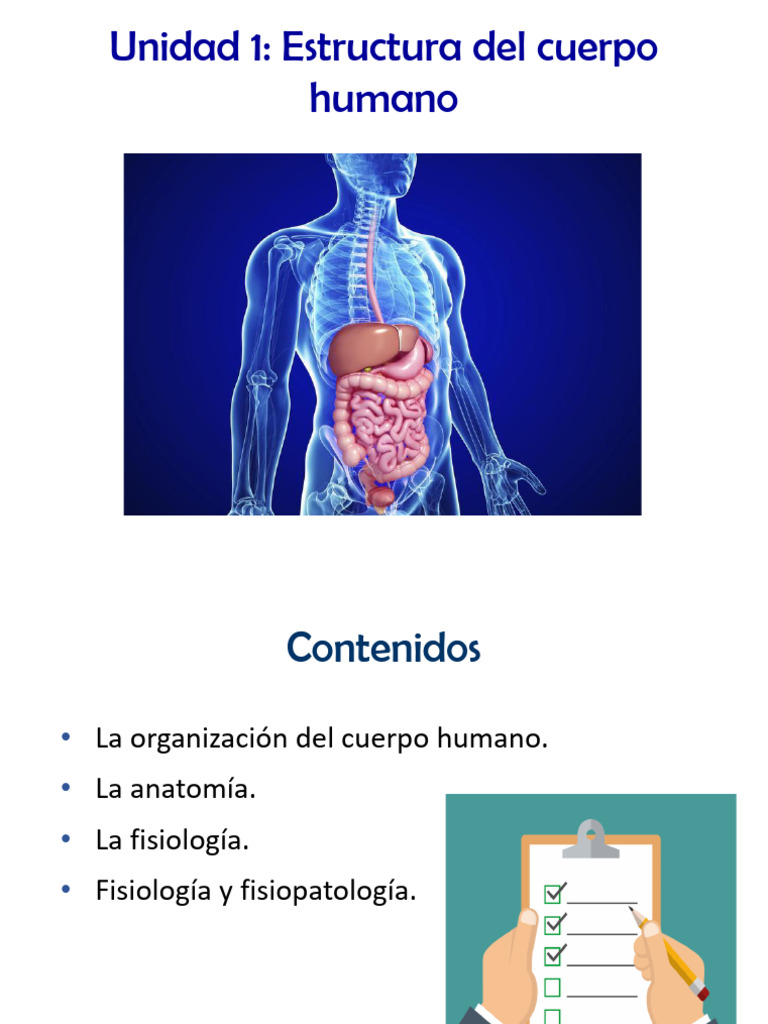 Presentacion UT1 | PDF