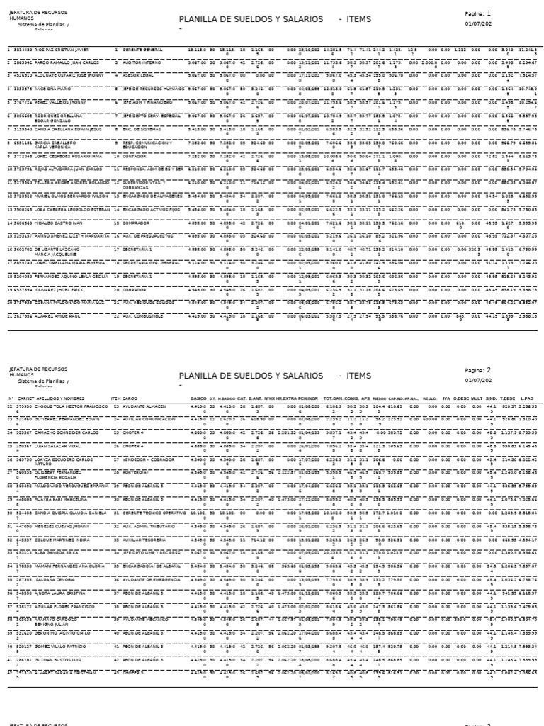 Planillas Salariales Items 2024 | PDF