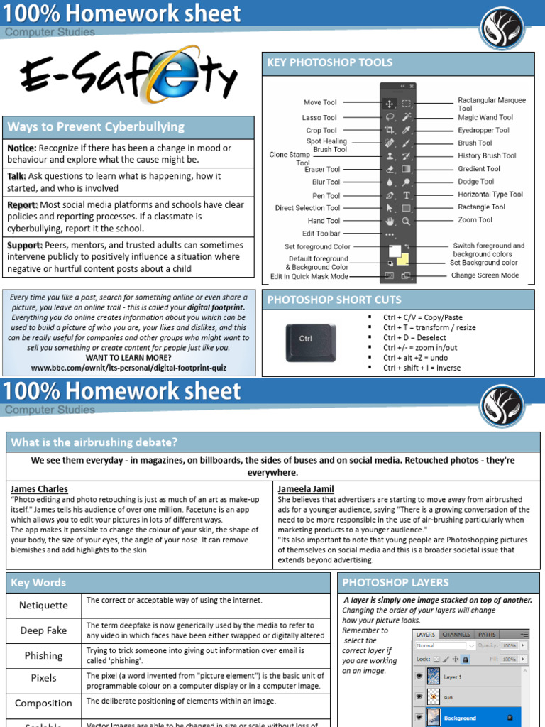 Year-8-Computer_Studies_100-sheet-Y8-Esafety | PDF