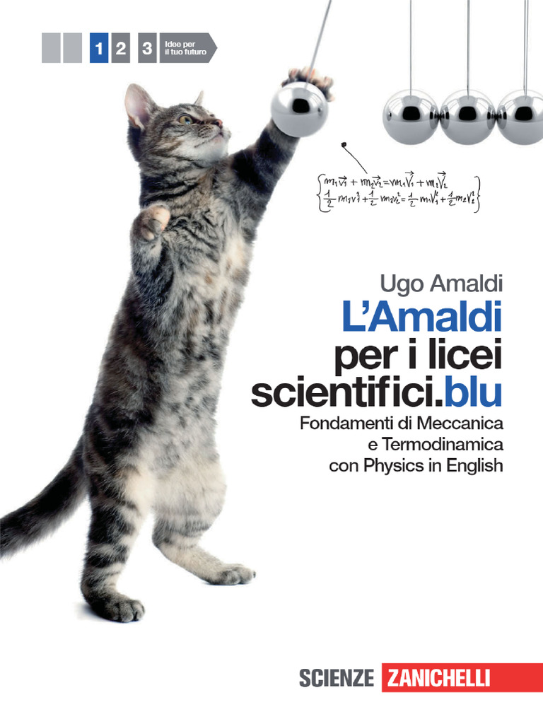Nuovo Amaldi Soluzioni Esercizi | PDF