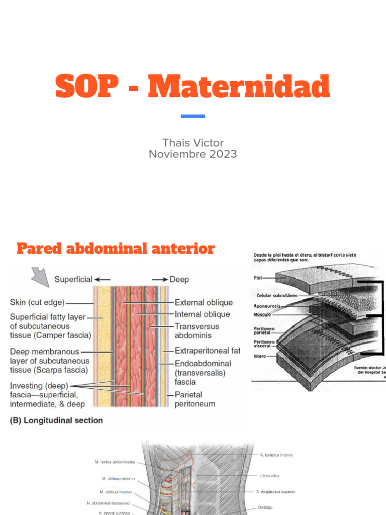 SOP - Maternidad | PDF