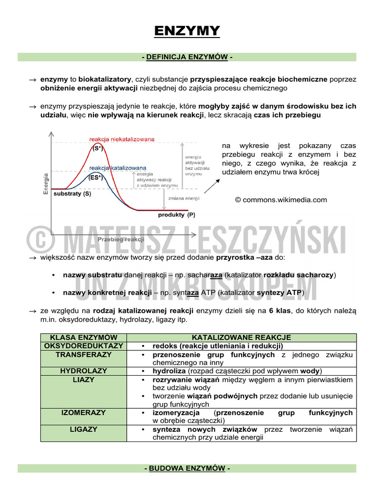 Enzymy | PDF
