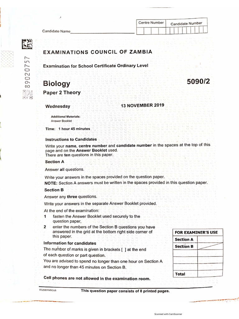 2019 BIO P2 Internal | PDF